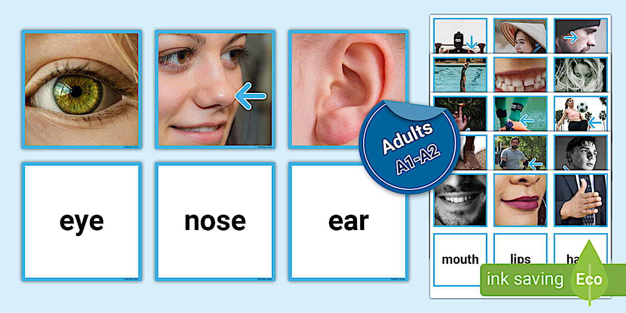 ESL Body Parts Matching Cards [Adults, A1-A2] (teacher made)