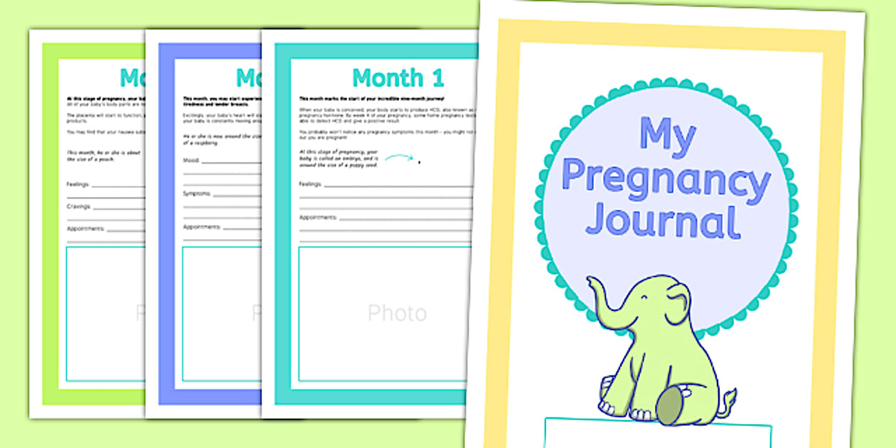 Black and White Pregnancy Journal Booklet (teacher made)