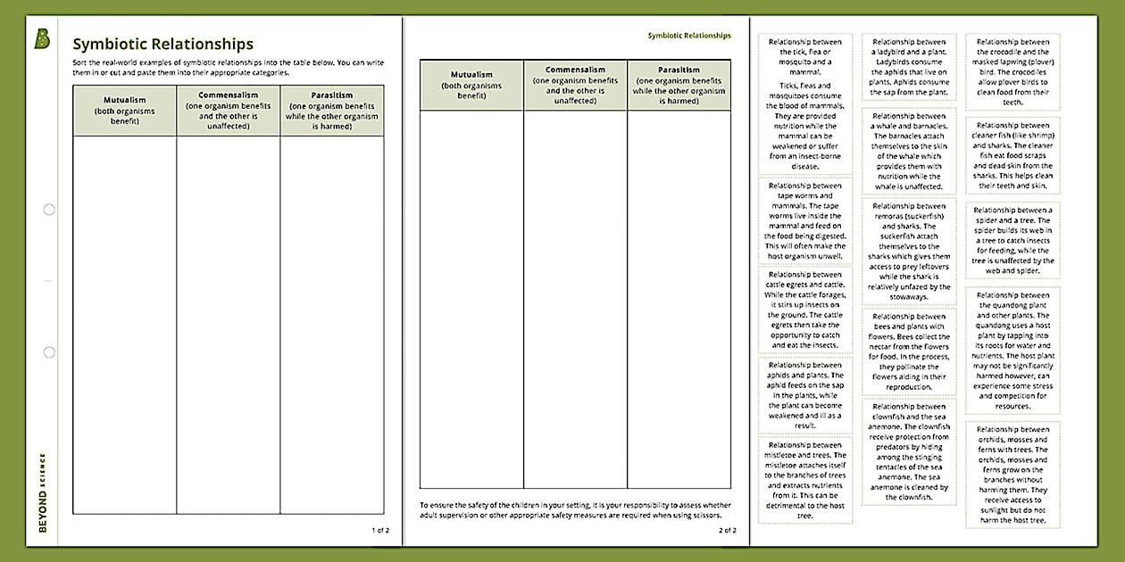 Symbiotic Relationships Worksheet (teacher made) - Twinkl