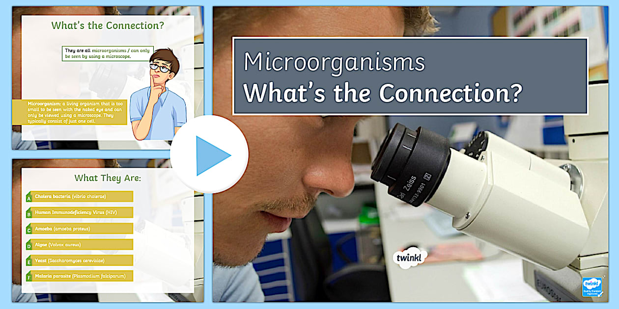 Microorganisms What's the Connection? (teacher made)