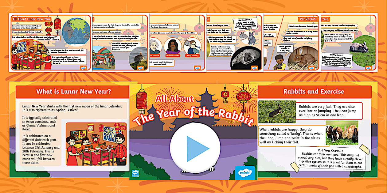 All About Rabbits Lunar New Year PowerPoint and Fact Files Pack | Twinkl