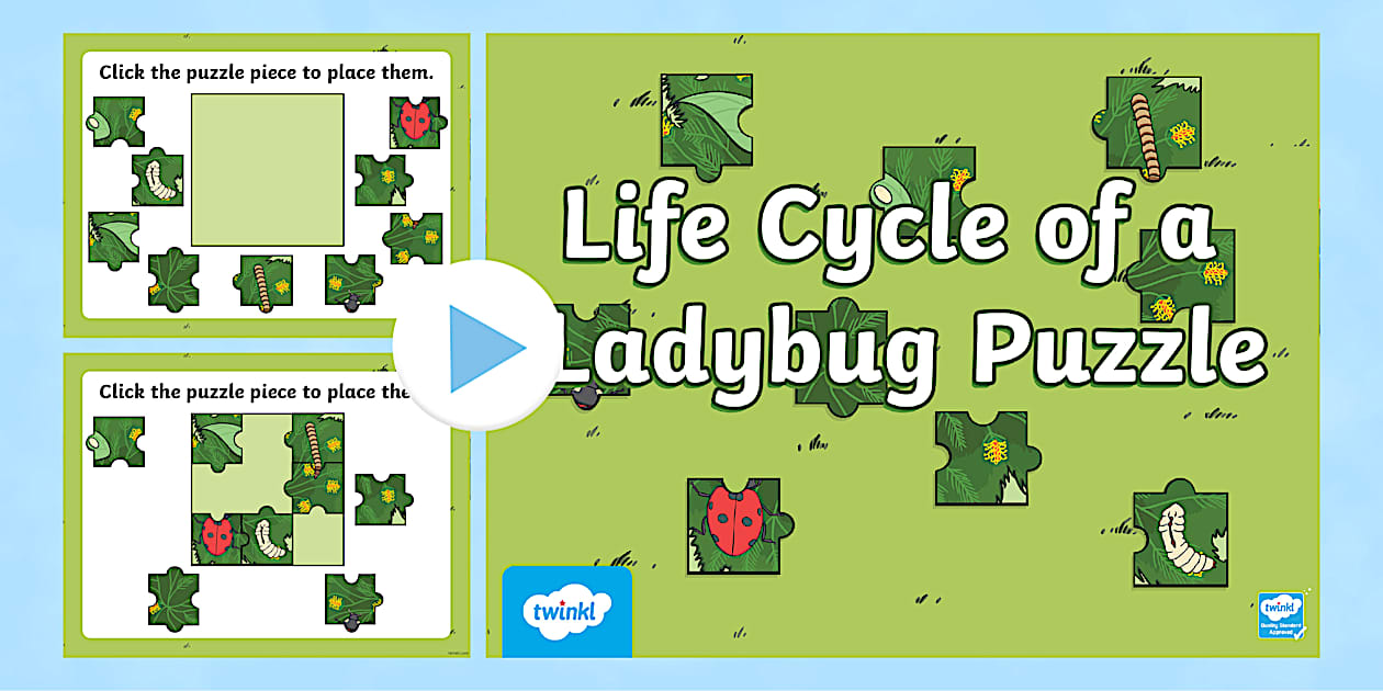 Life Cycle of a Ladybug Puzzle PowerPoint - (teacher made)
