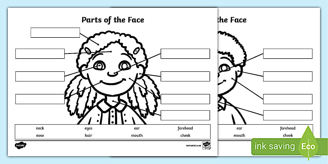 Parts of the Body Face Labelling Worksheet (teacher made)