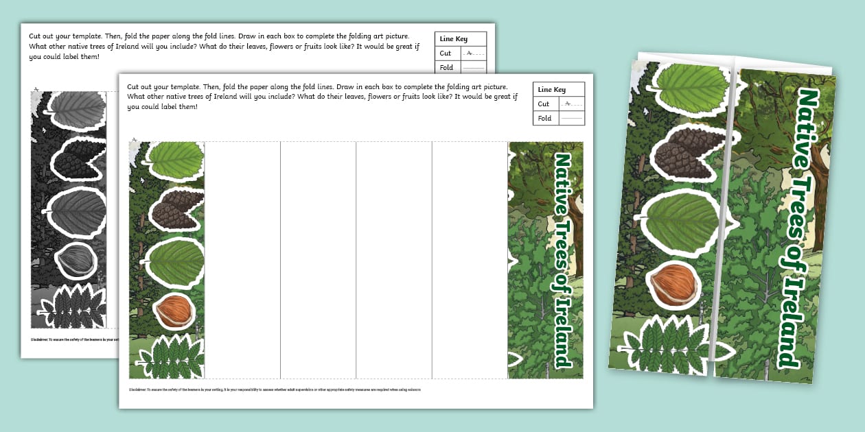 Native Trees of Ireland Folding Art Template (teacher made)