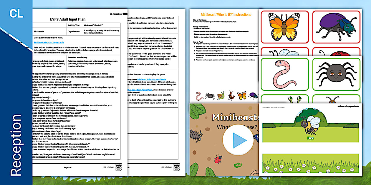 EYFS Minibeast Who is it? Adult Input Plan and Resource Pack