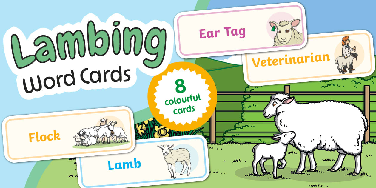 Lambing Word Cards