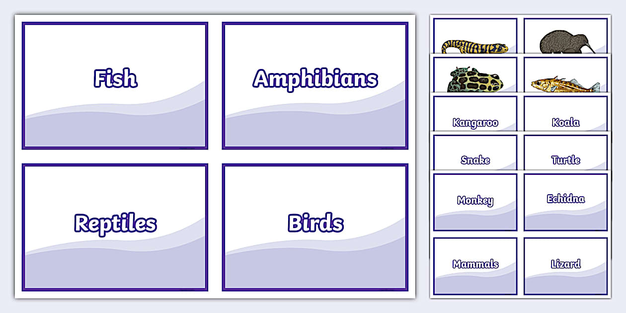 Vertebrates Matching Cards (teacher made) - Twinkl