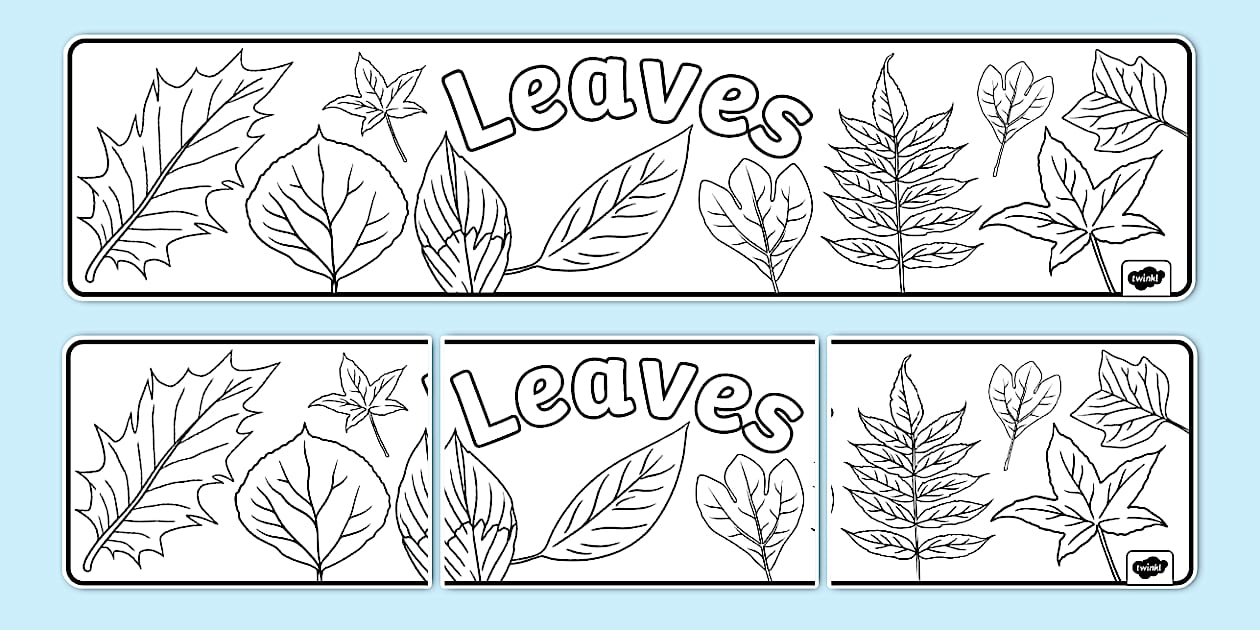 Leaves Colouring Display Banner (Teacher-Made) - Twinkl