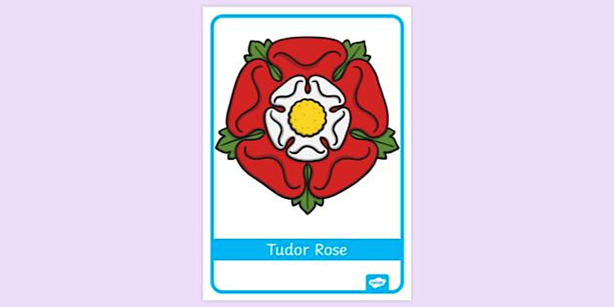 Tudor Rose Poster | Display Poster | Twinkl