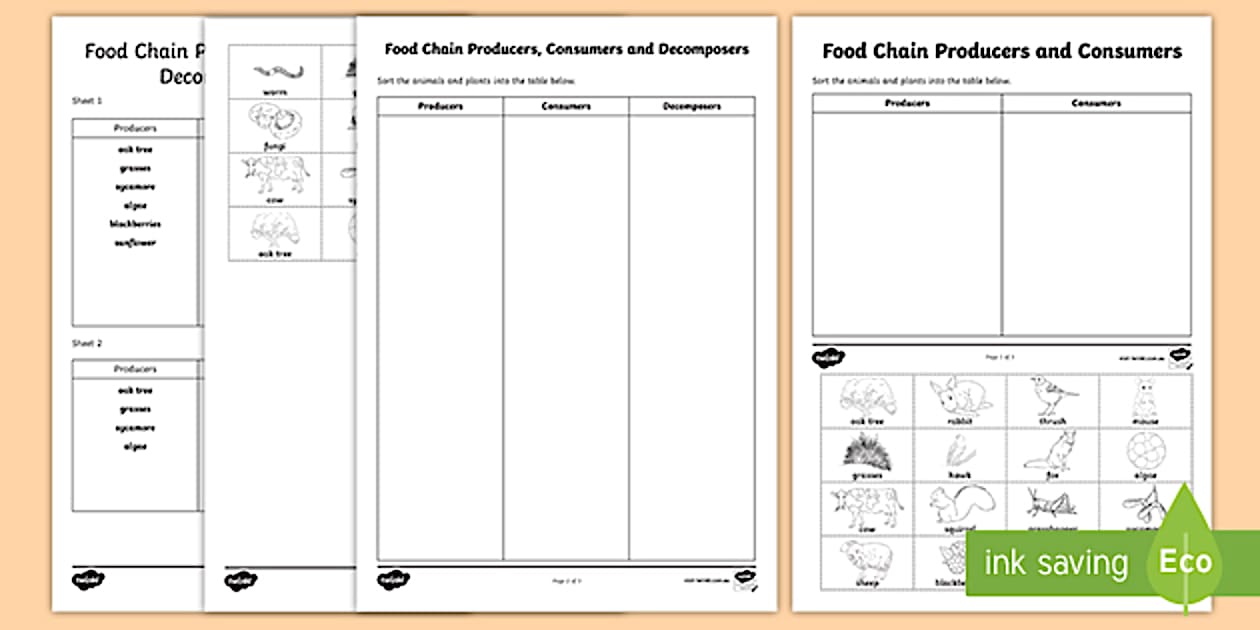 Producers, Consumers and Decomposers Worksheet - Twinkl