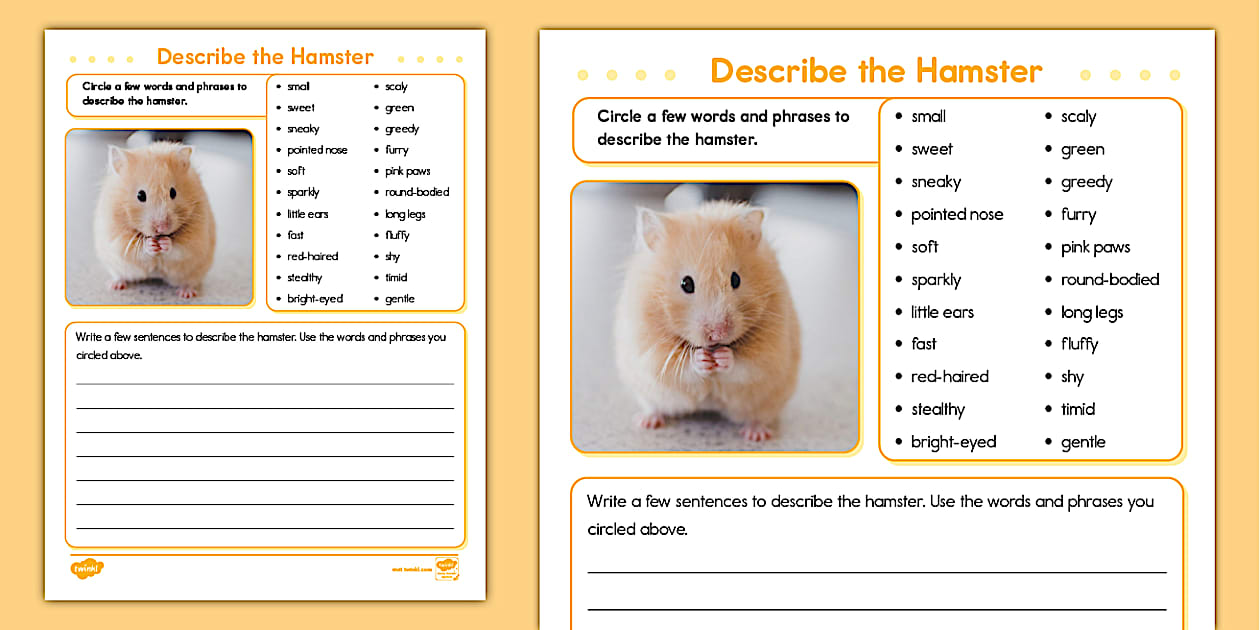Describe the Hamster Worksheet (teacher made) - Twinkl
