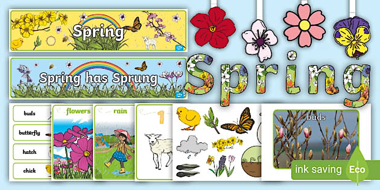 Spring Display Board Ideas | Spring Display Pack | Twinkl