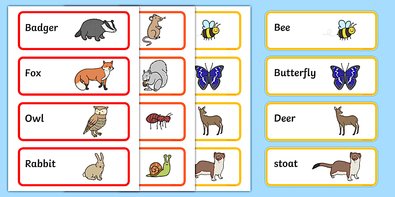 Woodland Animals Themed Labels (teacher made) - Twinkl