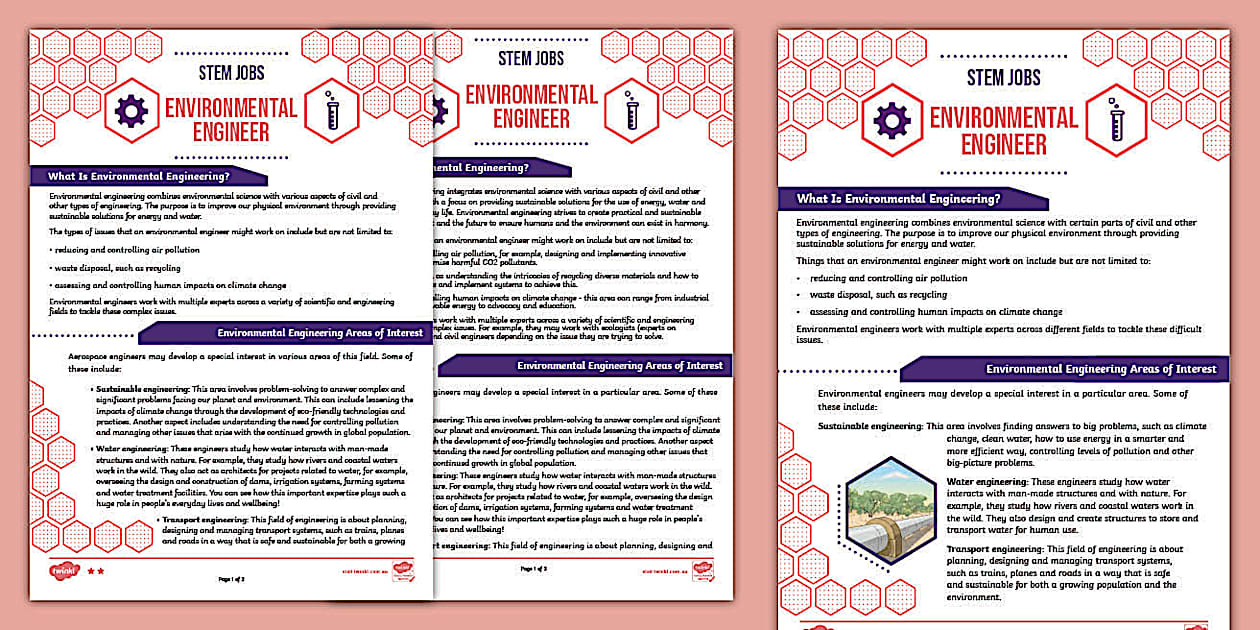 STEM Jobs - Environmental Engineer Facts (Differentiated)