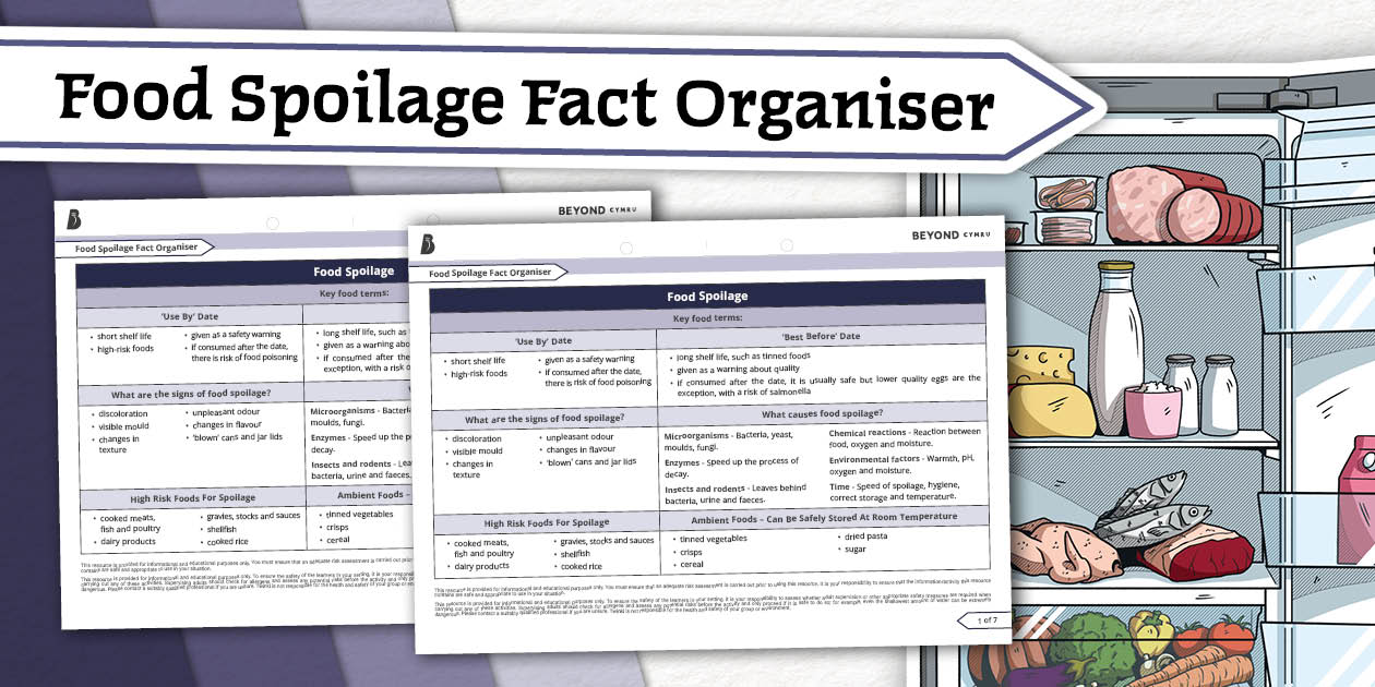 Food Spoilage Fact Organiser