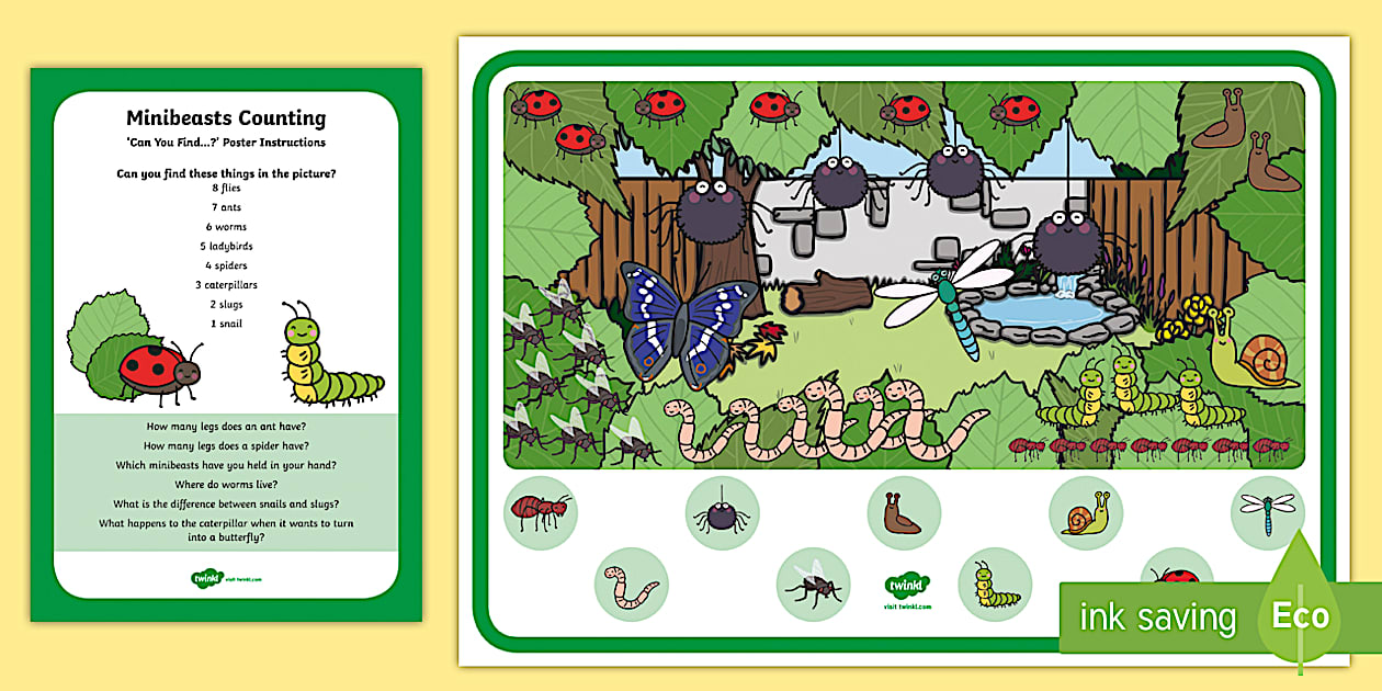 Minibeasts Counting Can You Find...? Poster and Prompt Pack