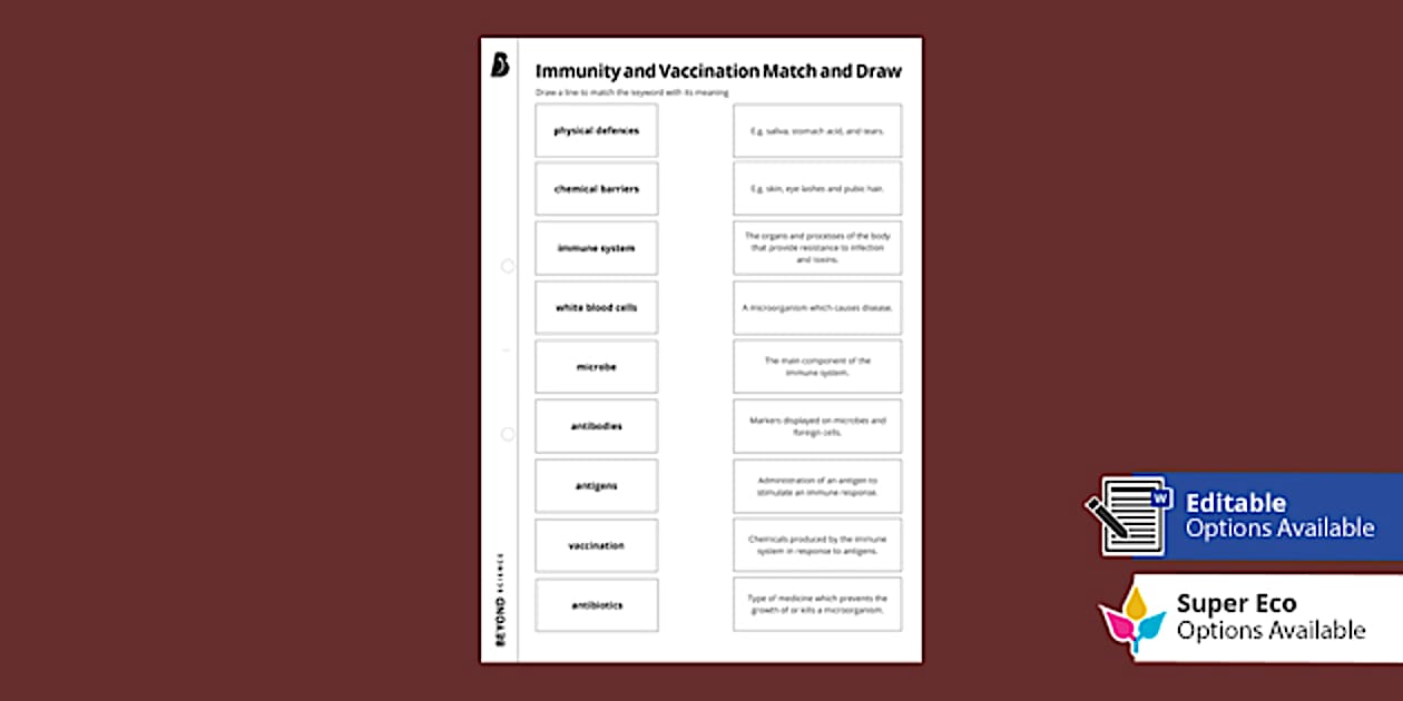 Immunity and Vaccination Match and Draw | Beyond - Twinkl