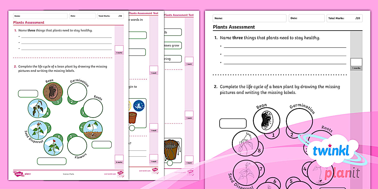 Science: Plants: Year 2 Assessment Test (teacher made)