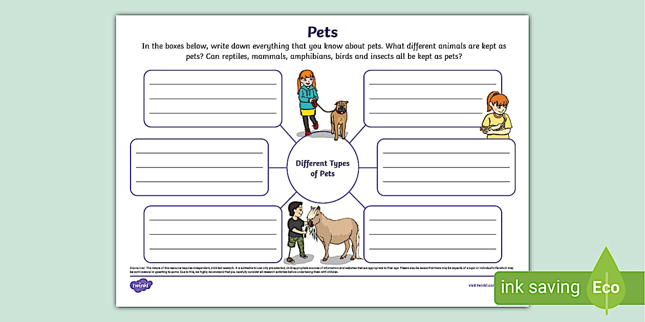 Different Types of Pets Mind Map (teacher made) - Twinkl