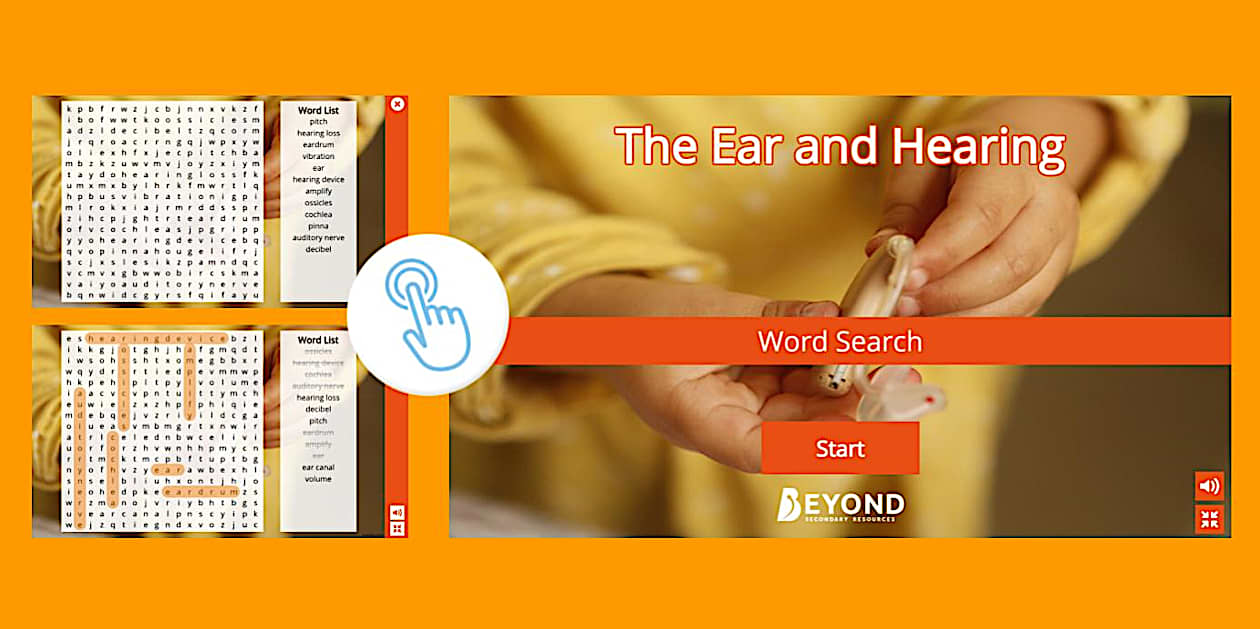 The Ear and Hearing Interactive Word Search (Teacher-Made)