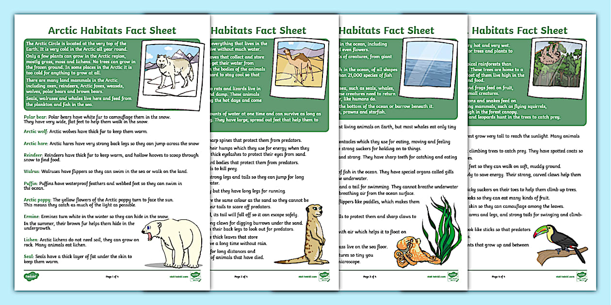 Editable World Habitats Fact Sheets (l'enseignant a fait)