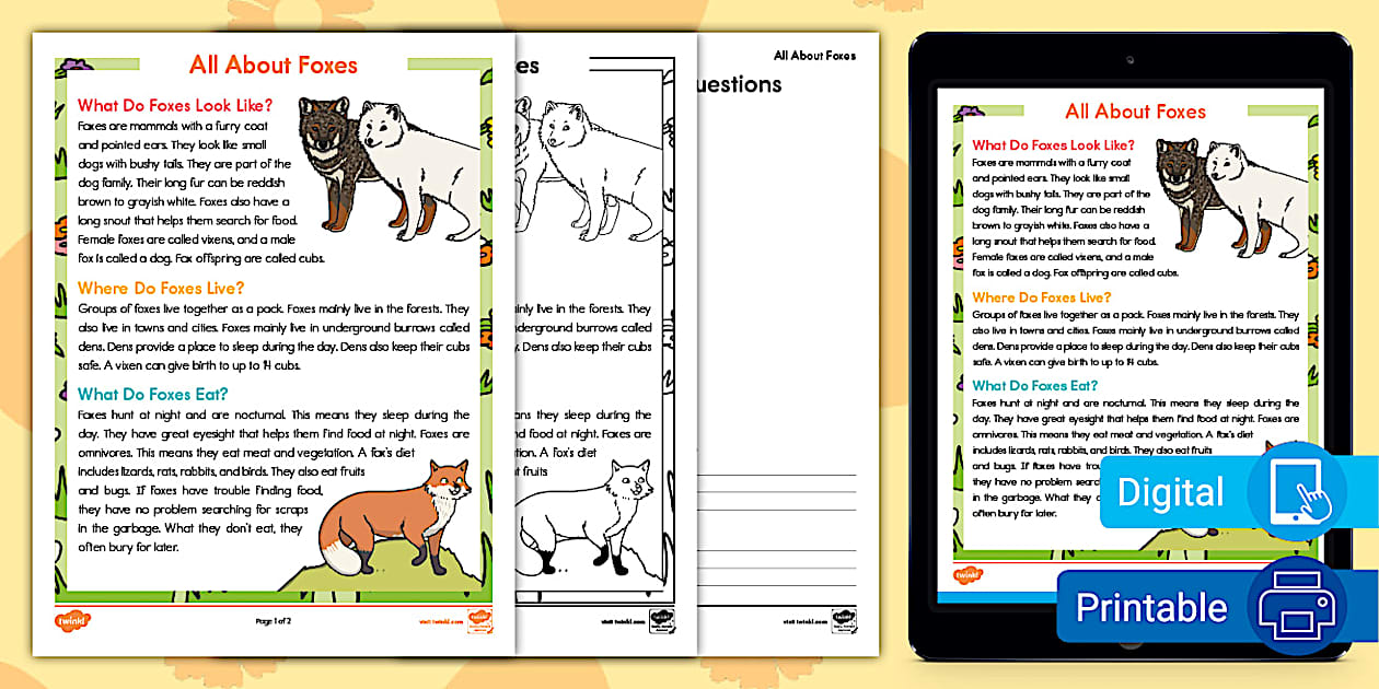 2nd Grade All About Foxes Reading Comprehension Activity Worksheet