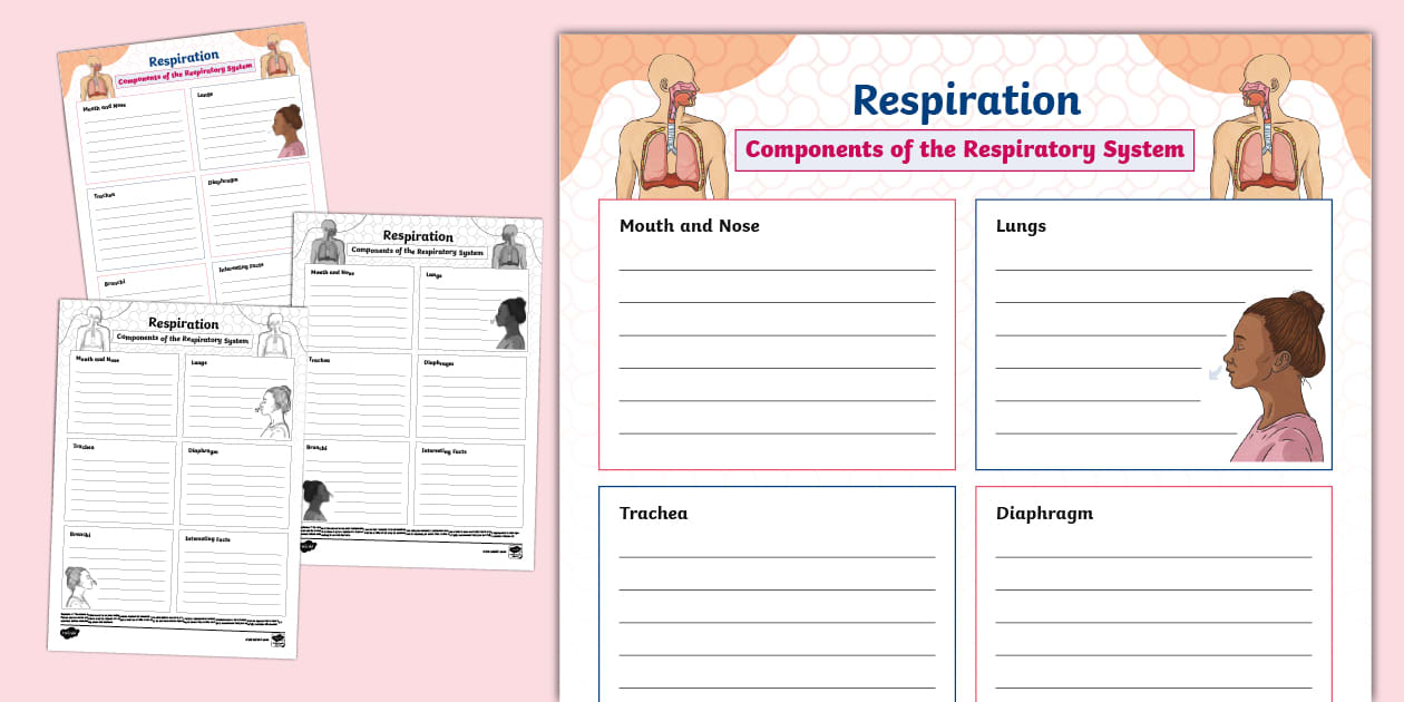 Respiration Fact File Template (teacher made) - Twinkl