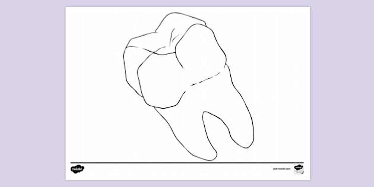 Printable Tooth Colouring Page | Colouring Sheets