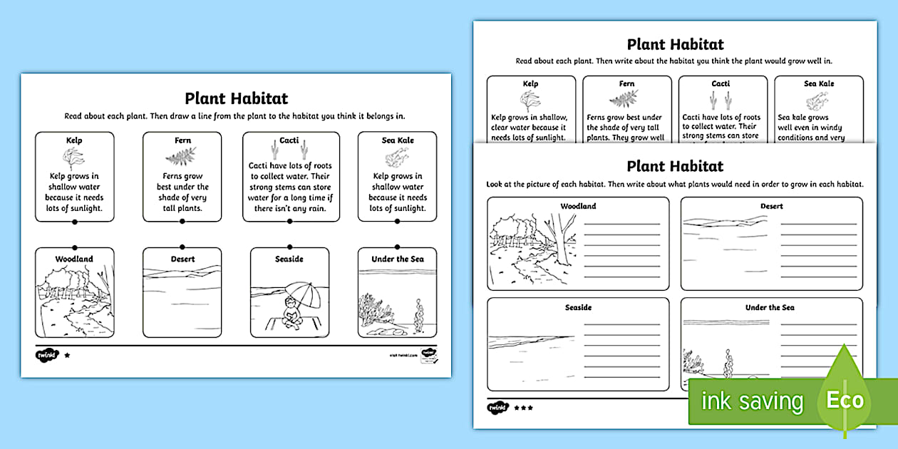 Plant Habitat Worksheet Bundle (teacher made) - Twinkl