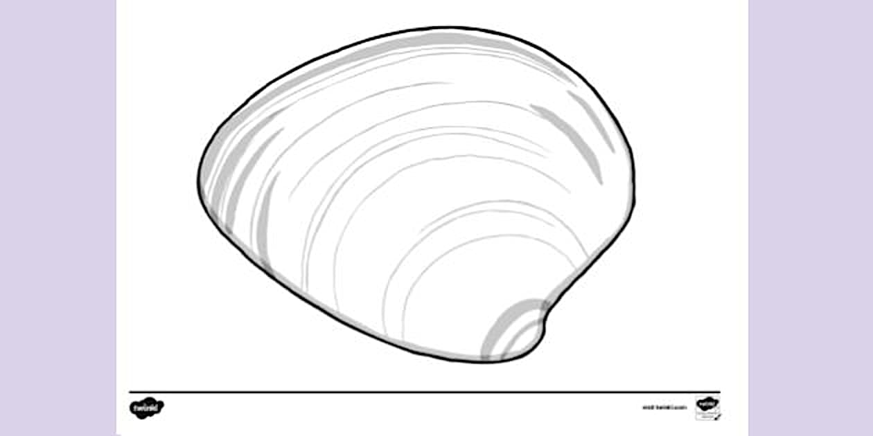 Peppery Furrow Shell Colouring Sheet | Colouring Sheets
