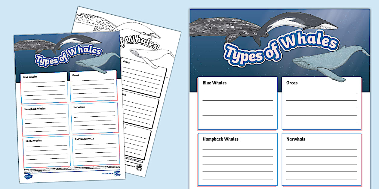 * NEW * Types of Whales Fact File Template (teacher made)