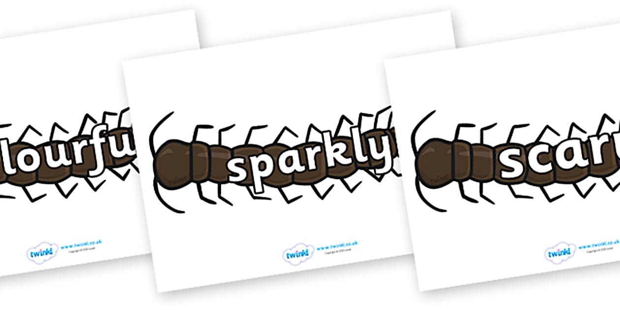 Wow Words on Centipedes (Teacher-Made) - Twinkl