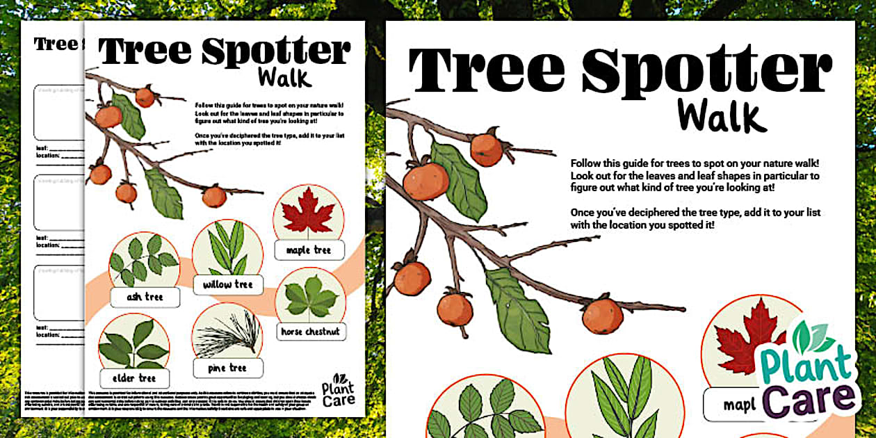 Tree Spotter Walk Activity with Tracker (teacher made)