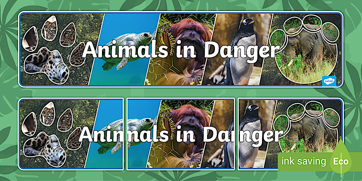 Animals in Danger Display Banner