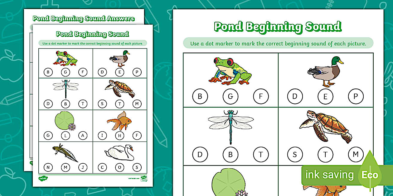 Pond Beginning Sounds Worksheet - Twinkl