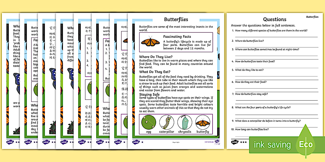Middle Ability Butterfly Reading Comprehension Activity Pack English ...