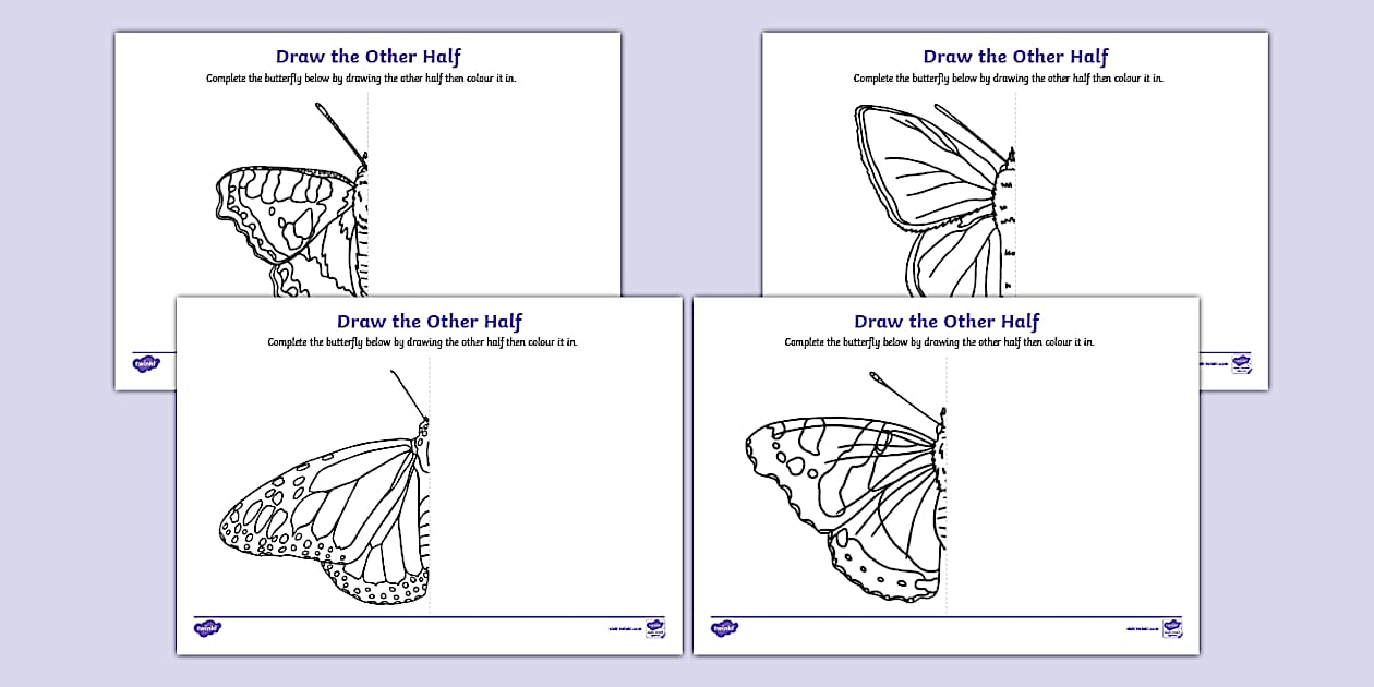 Butterflies Draw the Other Half Activity - KS1 - Minibeasts