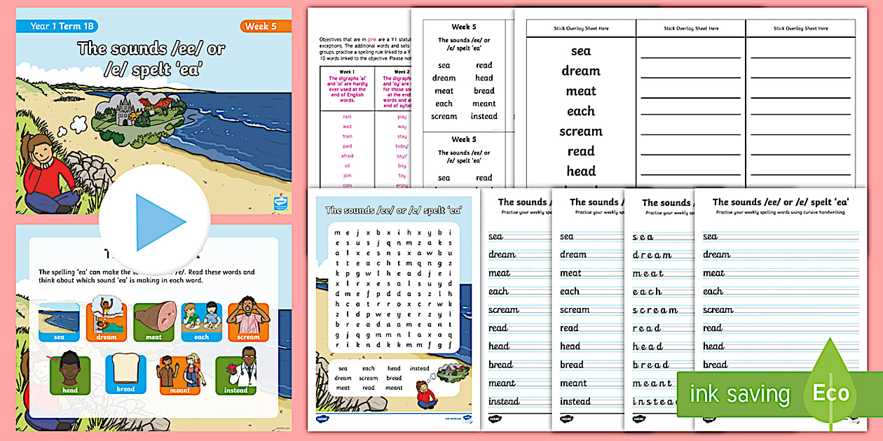 Year 1 Term 1B Week 5 Spelling Pack (teacher made) - Twinkl