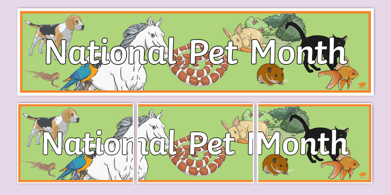 National Pet Month Display Banner - KS2 National Pet Month (April 2017)