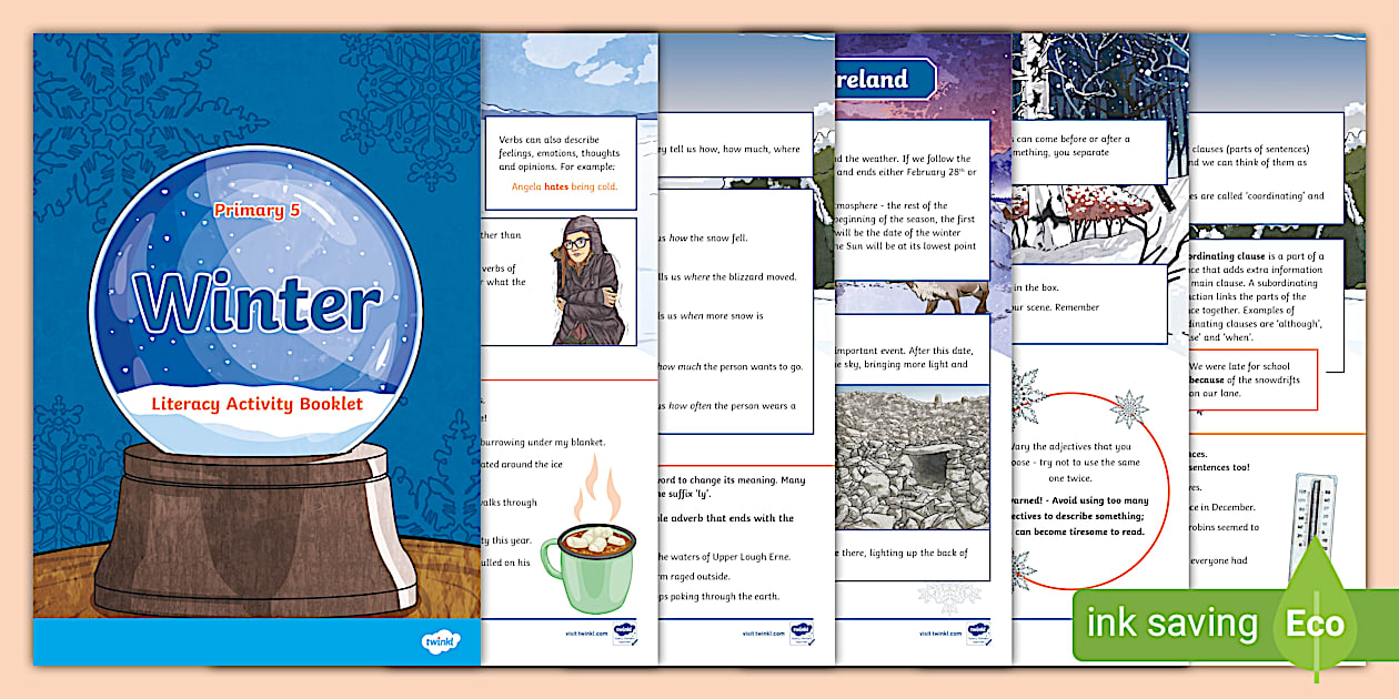 Winter Literacy Activity Booklet Primary 5 (teacher made)