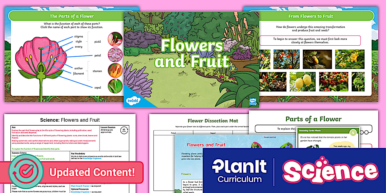 Y3 Plants: Flowers and Fruit Lesson 4 (teacher made)