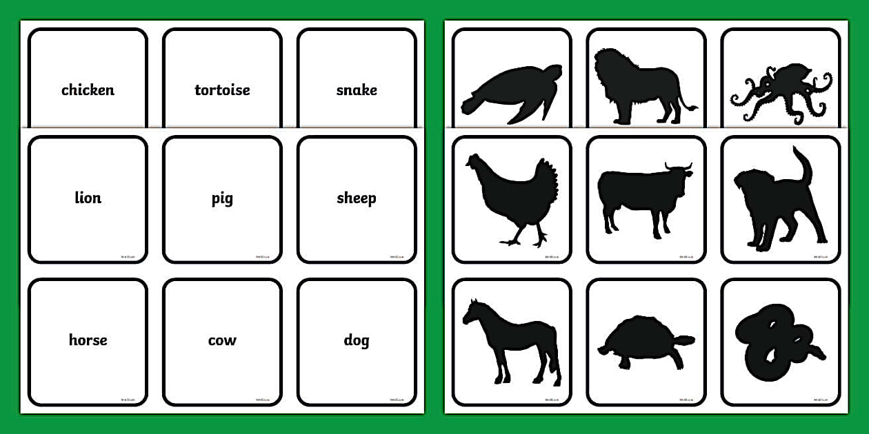 Unknown Animals Matching Activity