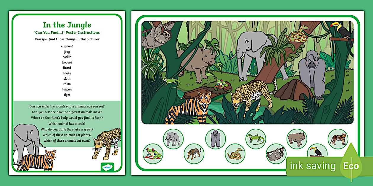 Jungle Can You Find...? Poster and Prompt Card Pack | Twinkl