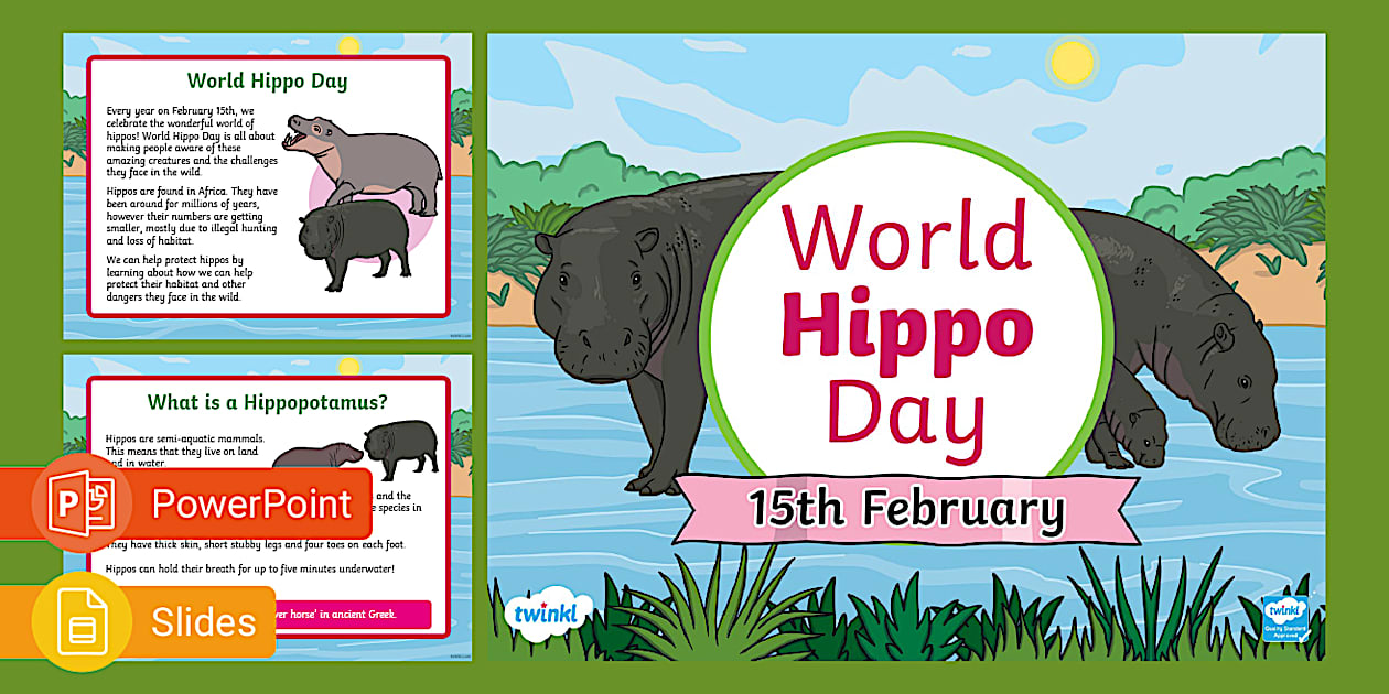 World Hippo Day PowerPoint (teacher made) - Twinkl