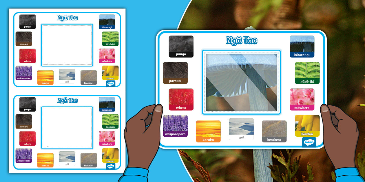 I Spy Nature Frame: Ngā Tae