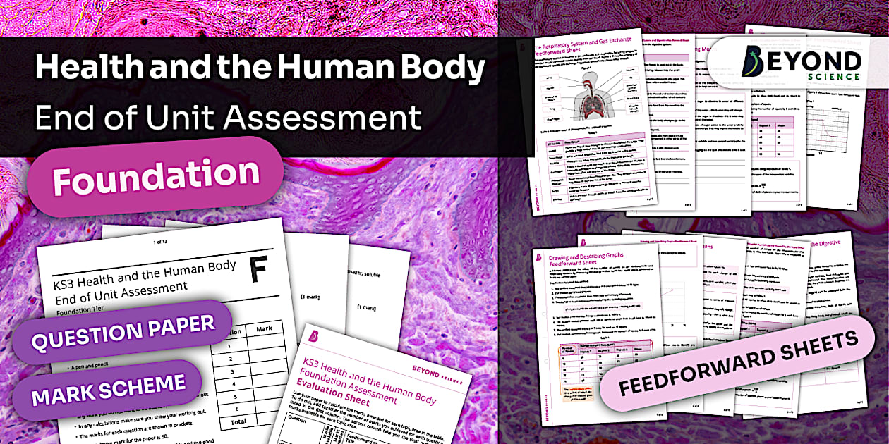 KS3 Health and the Human Body End of Unit Assessment Pack Foundation