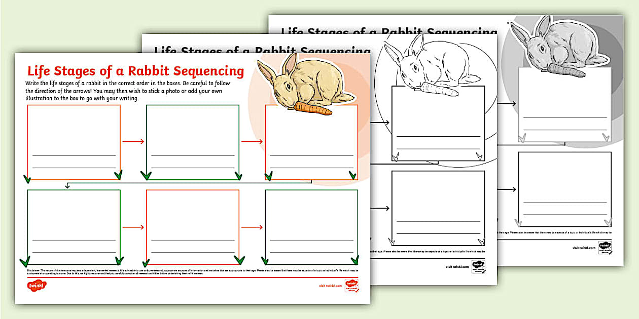 Life Stages of a Rabbit Sequencing Mind Map (teacher made)