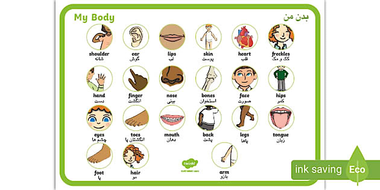 My Body Word Mat: Farsi Translation | Dual Language Resource