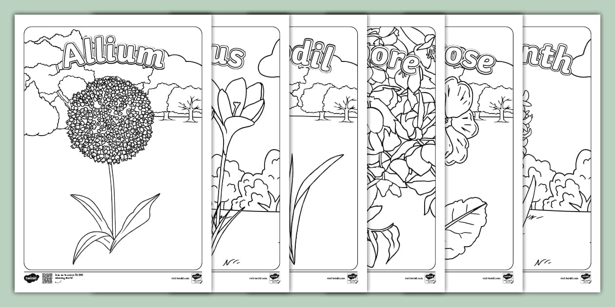 Spring Flower Colouring Pages (teacher made) - Twinkl