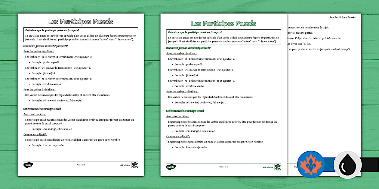 Les Participes Passés Reference Sheet (teacher made)